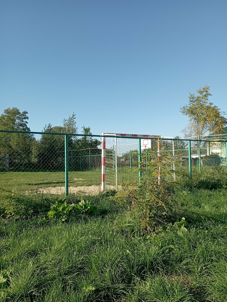 Spor alanı Футбольное поле, Vladimirskaya oblastı, foto
