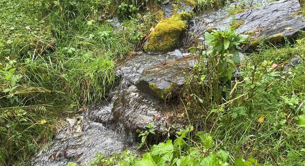 Pınar, çay Spring, stream, Altay Cumhuriyeti, foto