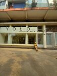 Yolo Design (Luanda, Rua Cónego Manuel das Neves), mobilya mağazaları  Loanda'dan