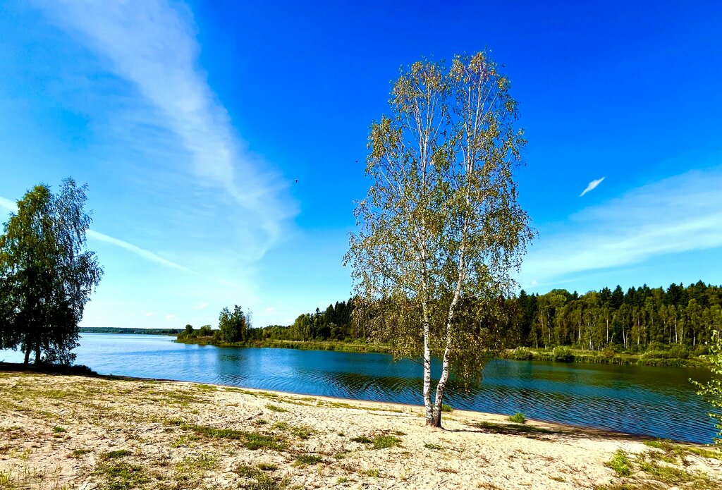 Plaj Пляж, Moskova ve Moskovskaya oblastı, foto