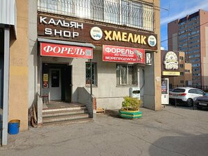 Хмелик (Karbysheva Street No:67), bira dükkanı  Samara'dan