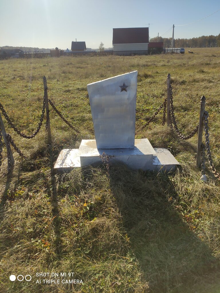 Anıt, heykel Коммунист Говорухин, Novosibirskaya oblastı, foto