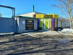 Crocus (Twrïstïçeskaya street No:80), mobilya fabrikaları  Semey'den