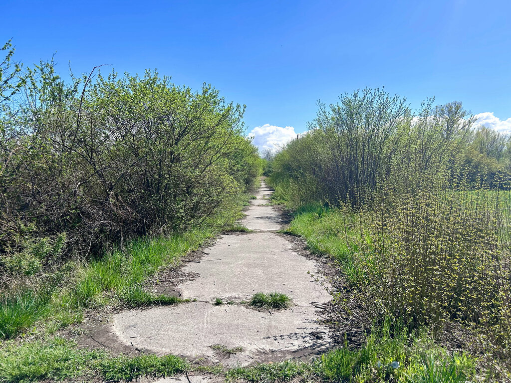 Kültür ve eğlence parkları E. Z. Gareyev Botanik Parkı, Bişkek, foto