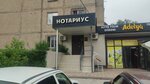 Notary Beise Sh. D. (No:43А, 16-shy shaǵyn aýdan), noterler  Çimkent'ten (Şımkent'ten)