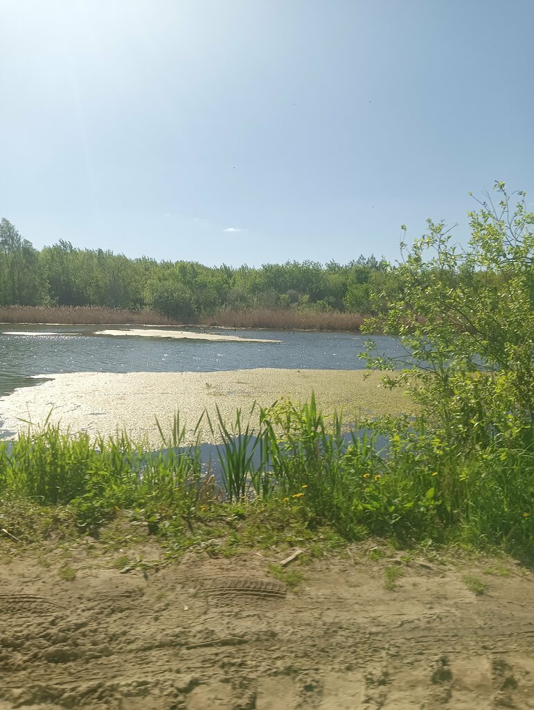 Pınar, çay Spring, stream, Volsk, foto