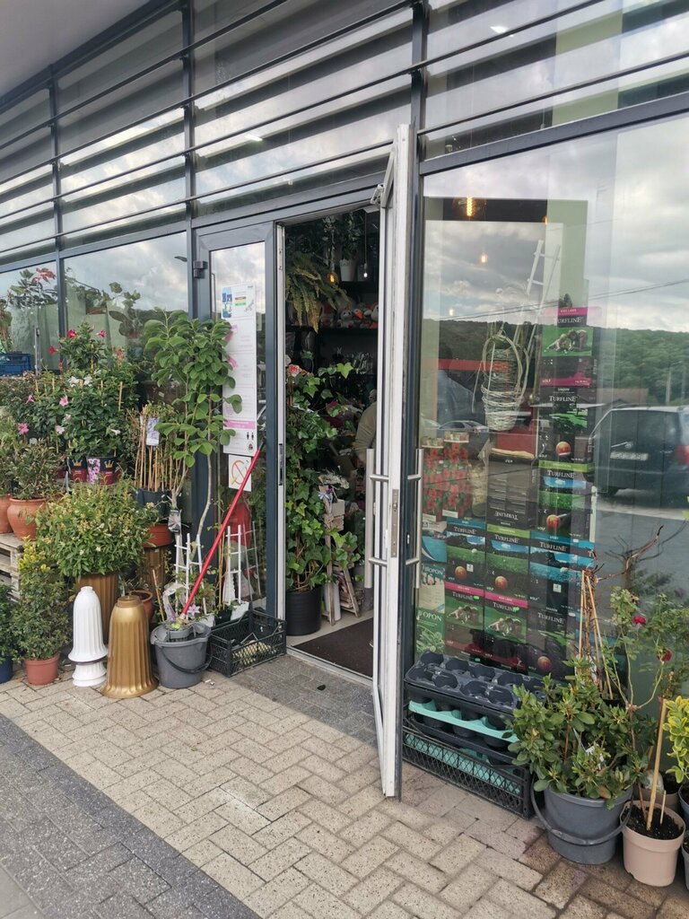 Çiçekçiler Bettyflora, Dünya, foto