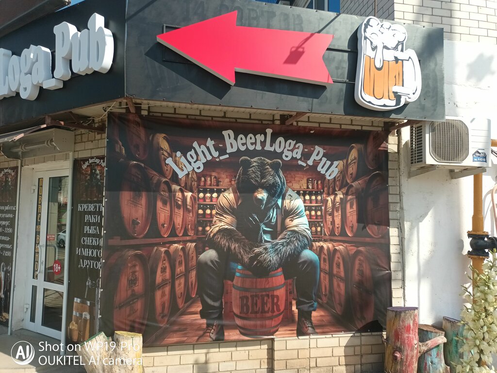 Bar Light_BeerLoga_Pub, Budennovsk, foto
