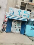 La maison des chiens koumassi 05 (Abidjan, La commune Koumassi, Rue I75), petshop  Abican'dan