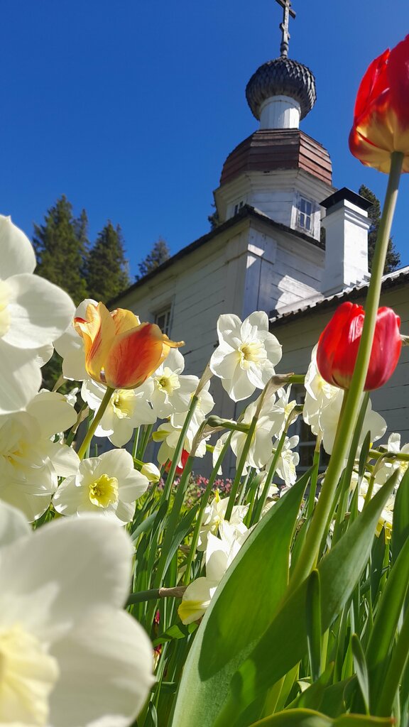 Ortodoks kiliseleri Tserkov Raspyatiya Khristova V Golgofo-Raspyatskom skitu, Arhangelskaya oblastı, foto