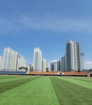 김해시진영공설운동장 (South Gyeongsang Province, Miryang), stadyum  Miryang'dan