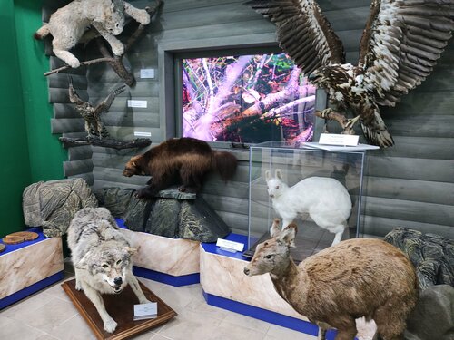 Müzeler ve sanat galerileri Baikal Museum, İrkutskaya oblastı, foto