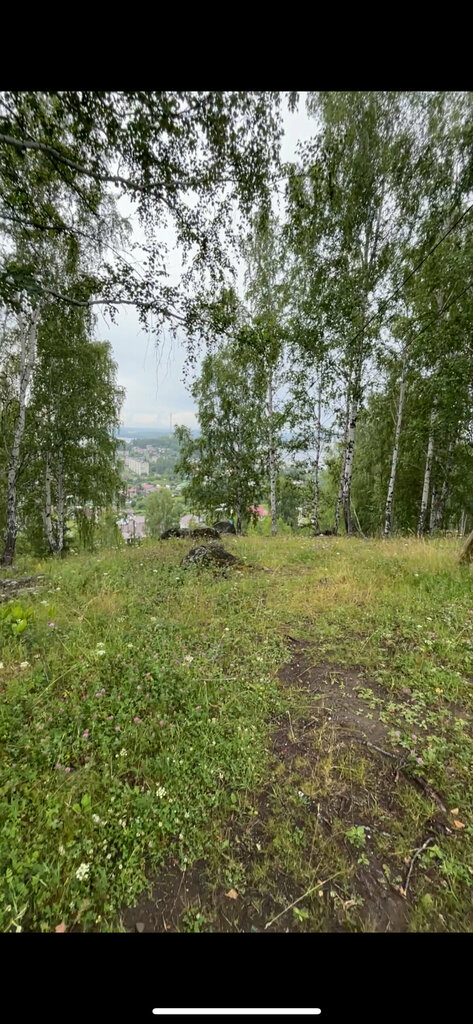 Dağ zirvesi Гора Трубная, Novouralsk, foto