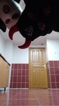 Общежитие № 10А БГСХА (Internatsionalny prospekt No:7А, Gorki), yurtlar  Gorki'den
