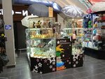 Star Professionals (Miklukho-Maklaya Street No:36А), bijuteriler  Moskova'dan