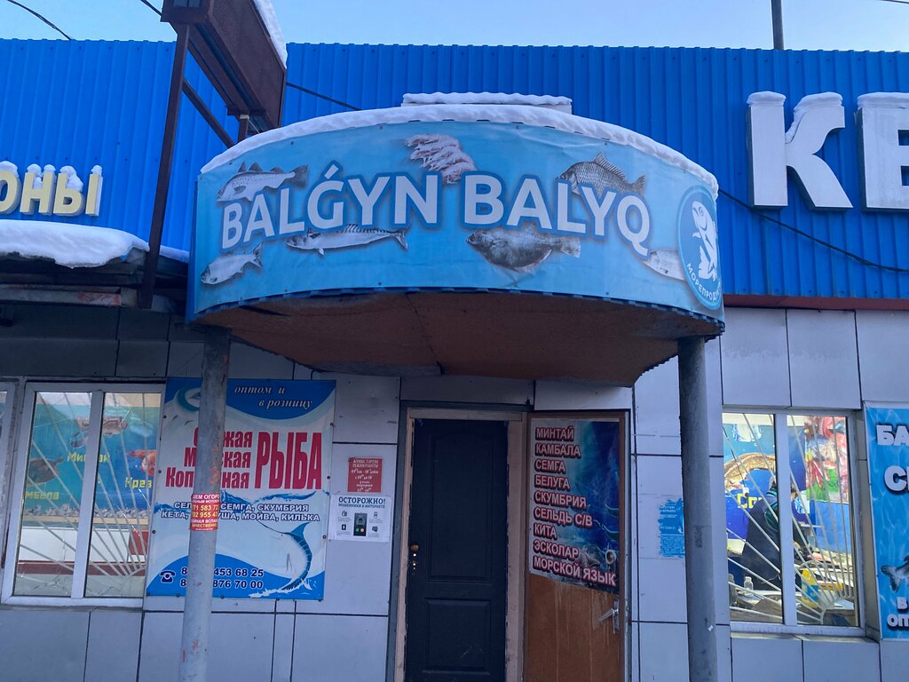 Balık ve deniz ürünleri Fresh Fish, Taldıkorgan, foto