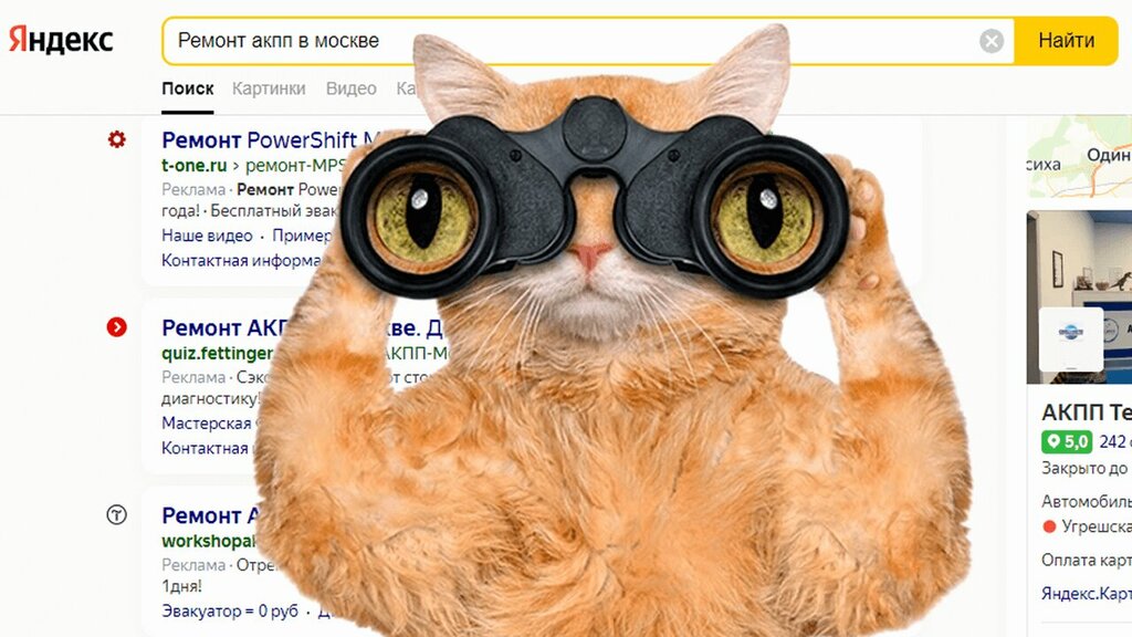 i̇nternet pazarlama şirketi Directolog - Yudin Alexandr, Moskova, foto