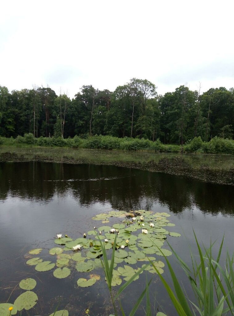 i̇skele Пристань № 1, Tambov, foto