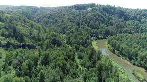 Вершина горы "Узкая Лука" (Novosibirsk Region, Maslyaninskiy munitsipalny okrug, ekotropa Tayezhnik), piknik alanı  Novosibirskaya oblastından