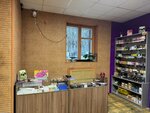 Вейп-шоп (No:23Б, derevnya Shatalovo), elektronik sigara satış noktaları  Smolenskaya oblastından