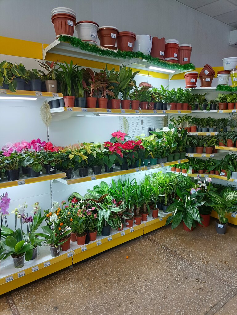 Çiçekçiler Green точка, Miass, foto