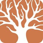 Master Wood (Shirokaya ulitsa No:18, Dolgoprudny), özel mobilya yapımı  Dolgoprudny'den