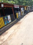 Fish King (Greater Accra Region, City of Accra, Osu Klottey, Ringway Estate), elektrik dağıtım firmaları  Akra'dan