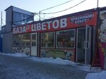 Na poljane (Kirova Avenue No:424Вк2), çiçekçiler  Samara'dan