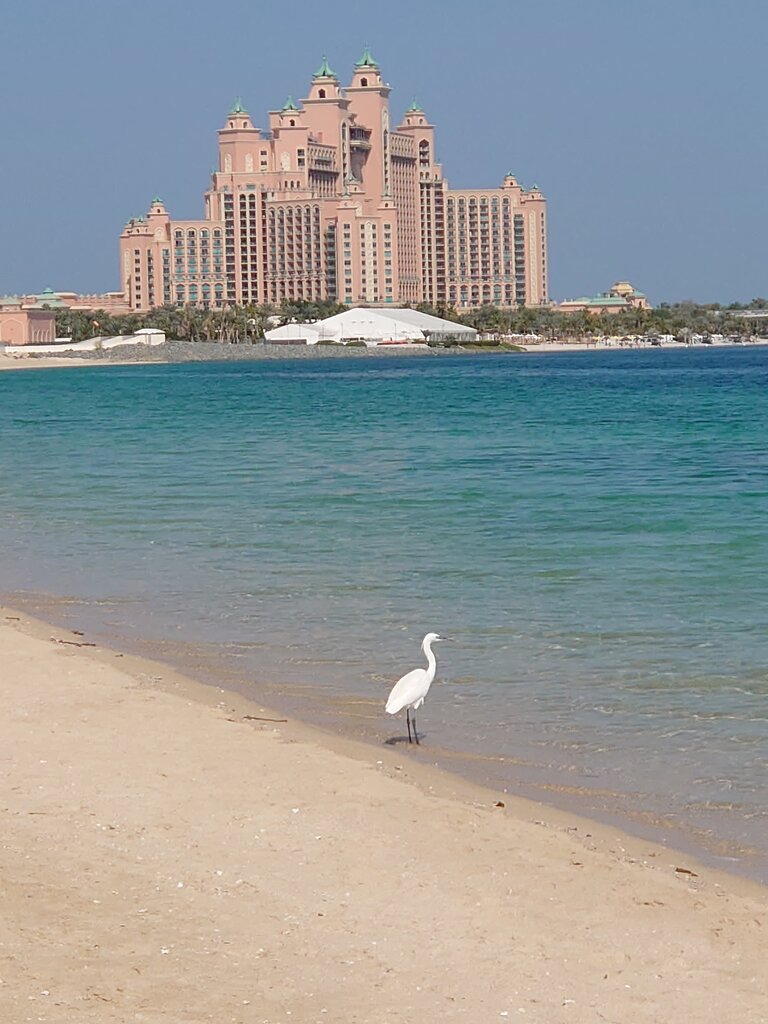 Otel Th8 Palm Jumeirah, Dubai, foto