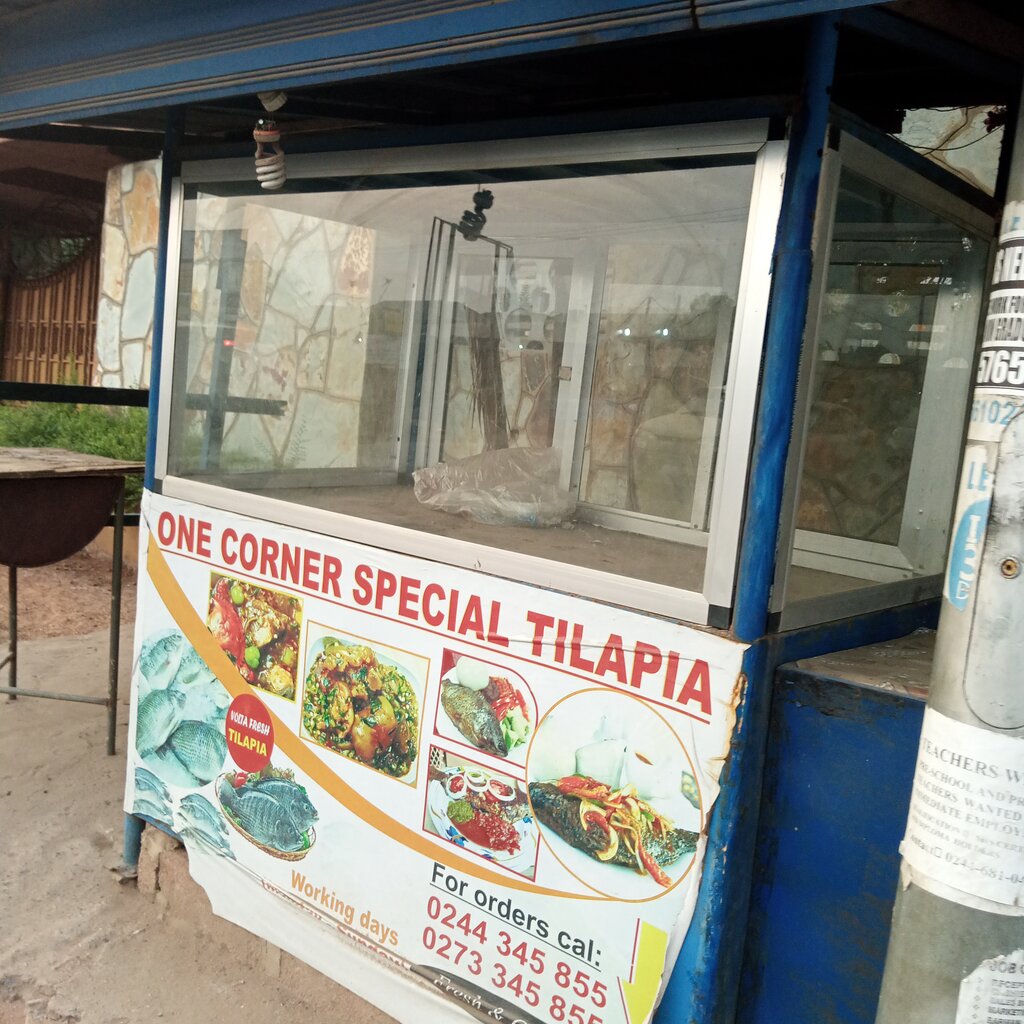 Fast food One Corner Special Tilapia, Dünya, foto