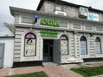 Amira (No:4, Töñkerıs alaby), kuaförler  Taraz'dan