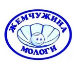 Zhemchuzhina Mologi (Pobedy Avenue No:49), yaz kampı  Cherepovets'ten