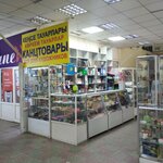 Stationery Store (Tole Bi Street No:170), kırtasiyeler  Almatı'dan