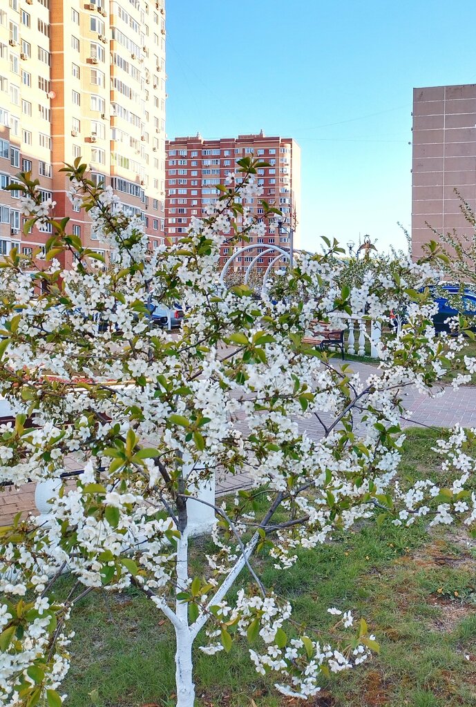 Kültür ve eğlence parkları Сквер 70 лет Победы, Dzerjinski, foto
