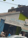 Aquarium (Rue B34 No:277, Treichville), balık ve deniz ürünleri  Abican'dan
