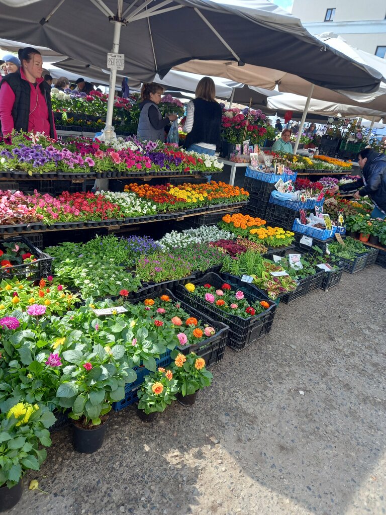 Gıda pazarı Astra, Murom, foto