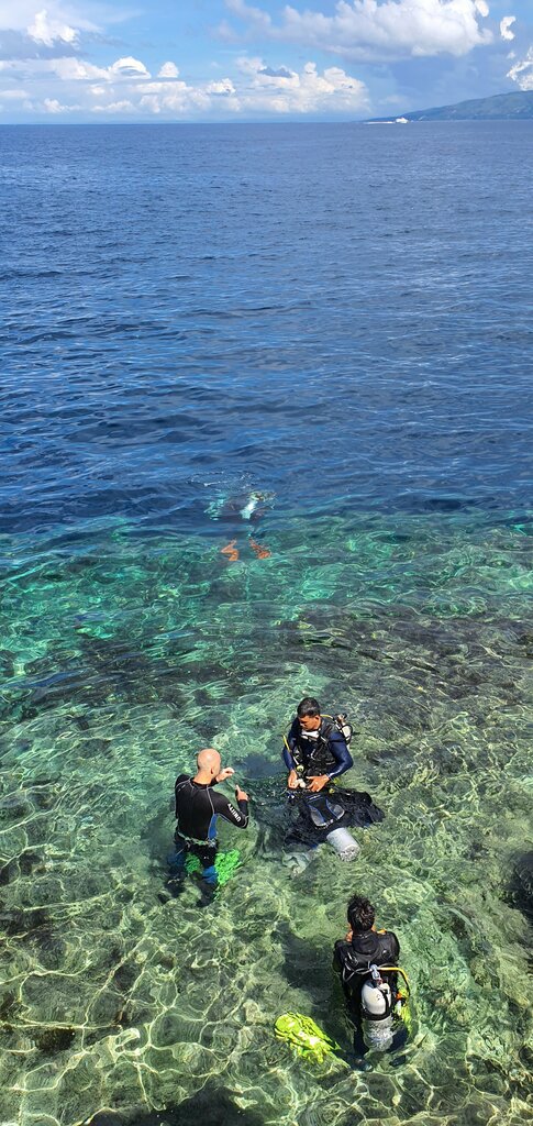 Dalış kulüpleri ve eğitim merkezleri Dofleini Dive Center, Bohol, foto