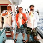 Kbe Anglers Hub (Al Seef Tower 2, JLT Cluster U, Jumeirah Lakes Towers, Al Thanyah 5, Al Thanyah, Hadaeq Mohammed Bin Rashid, Dubai), balıkçılık ekipman firmaları  Dubai'den
