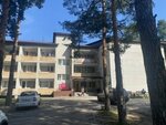 Ladoga (Sosnovaya ulitsa No:12/2), pansiyonlar, hosteller  Vladimirskaya oblastından