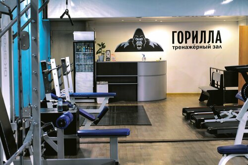 Gorilla fitness store