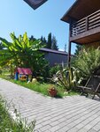 Фазенда (Agrba Street No:1/3, Town of Bichvinta), konuk evi  Pitsunda'dan