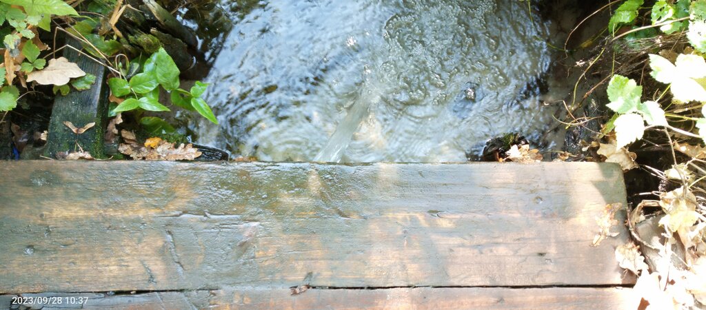 Pınar, çay Spring, stream, Volgogradskaya oblastı, foto