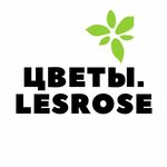 Lesrose (Krylov Street No:14А), çiçekçiler  Nijni Novgorod'dan