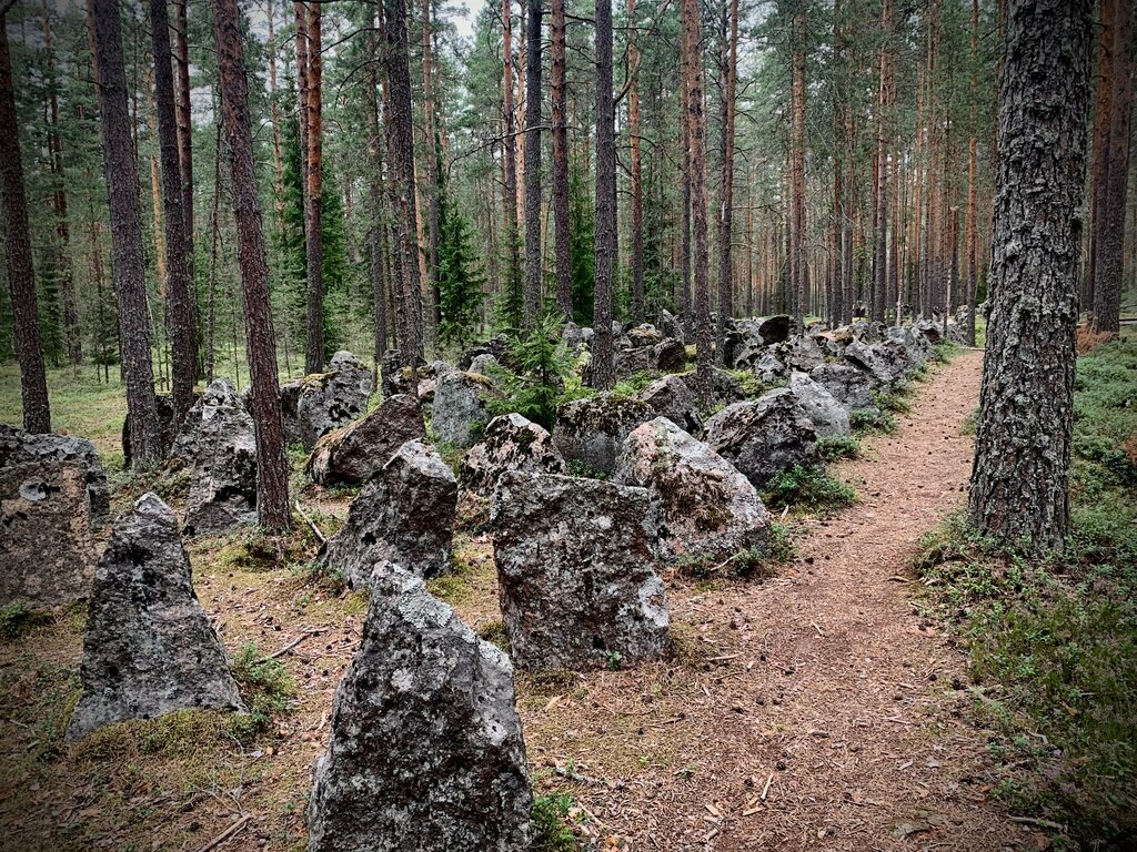 Turistik yerler Линия противотанковых надолбов, Saint‑Petersburg ve Leningradskaya oblastı, foto