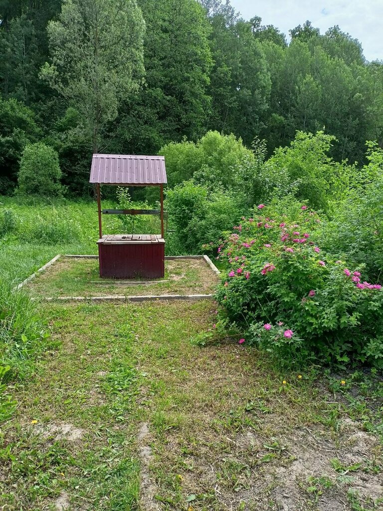 Pınar, çay ООПТ регионального значения памятник природы родник Пичурская криница, Belgorodskaya oblastı, foto