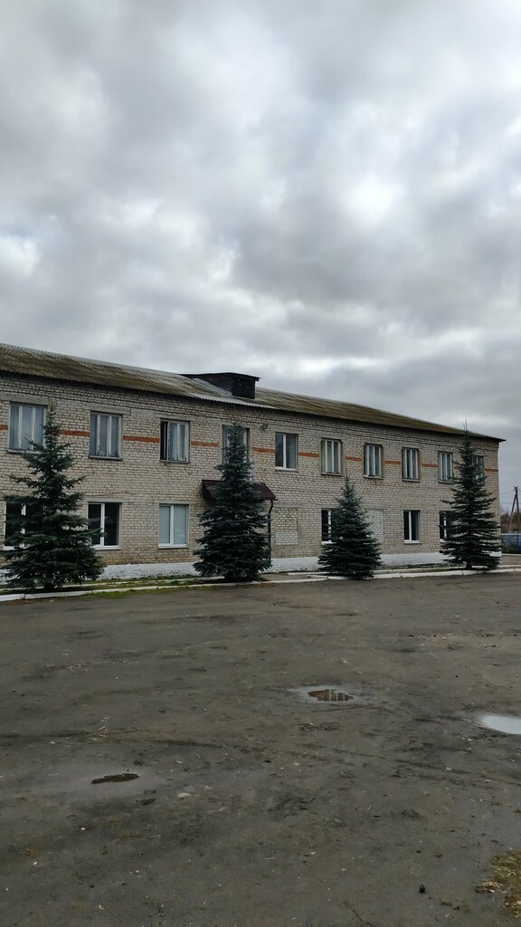 Elektrik dağıtım firmaları Людиновский район электрических сетей, Liudinovo, foto