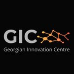 Georgian Innovation Centre (Vasil Petriashvilis Street No:1), mali müşavir  Tiflis'ten