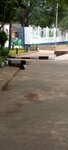 Mcann School (Paseli Road No:9), ortaokul  Lusaka'dan