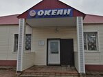 Okean, magazin (ulitsa Furmanova No:115), market  Soroçinsk'ten