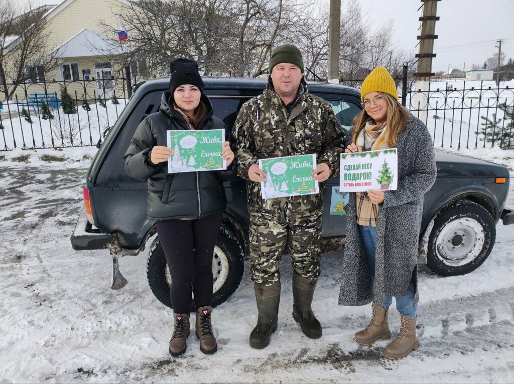 Orman işleri Оку Губкинское лесничество, Belgorodskaya oblastı, foto